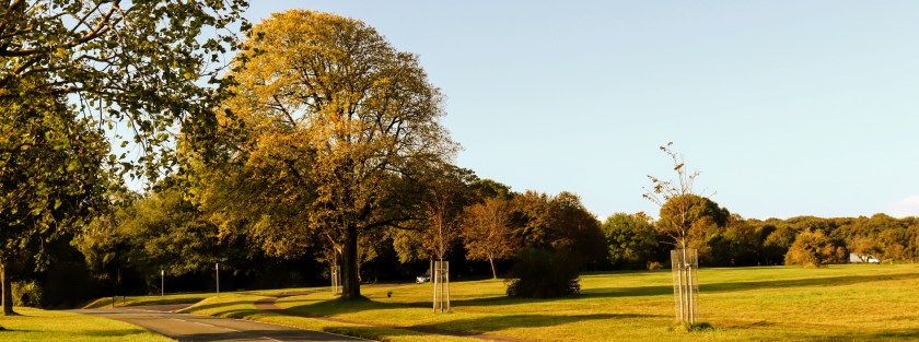 Bristol Tree Forum AGM 2019 – Bristol Tree Forum