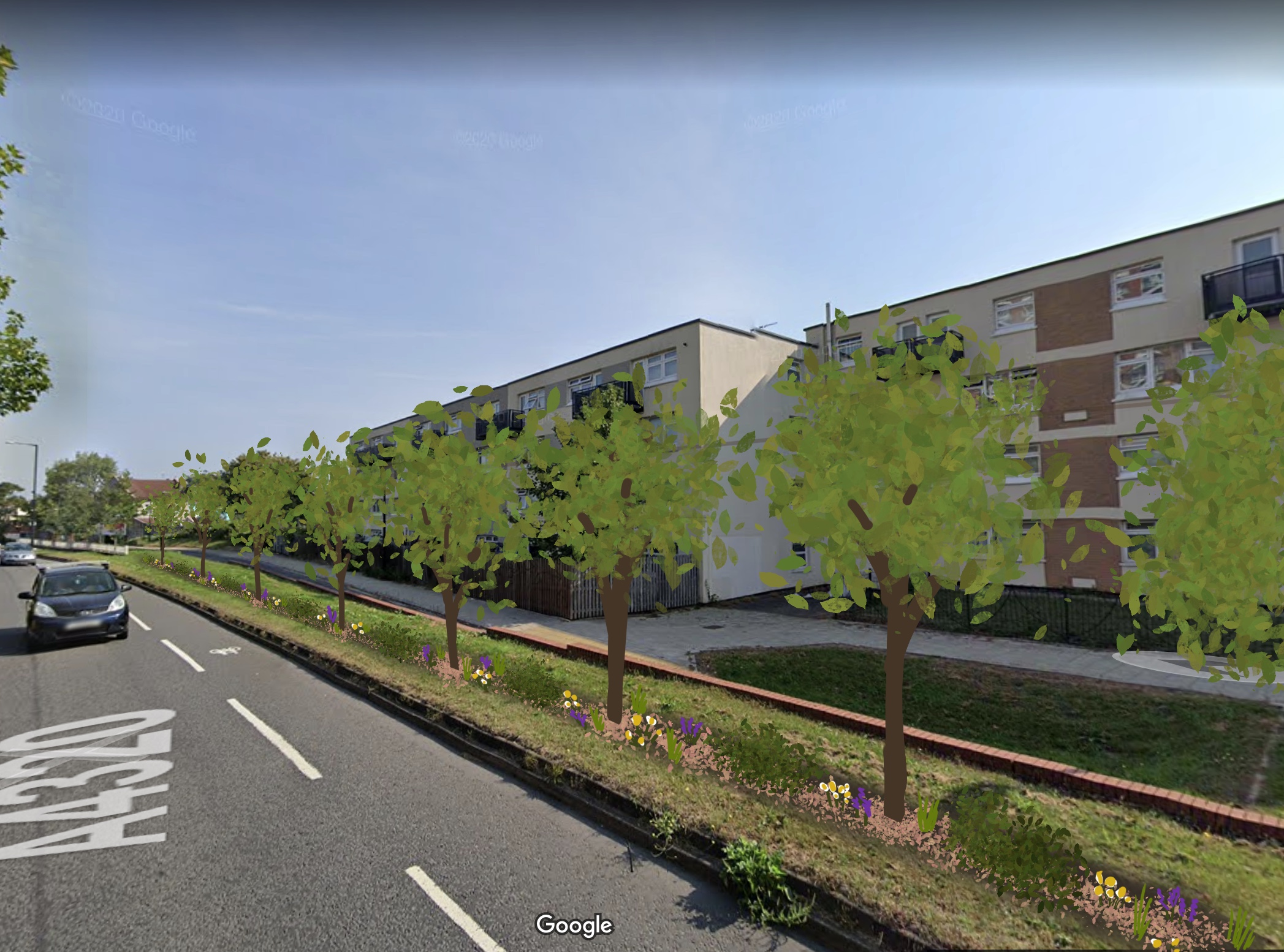 On the Verge – Planting for the future – Bristol Tree Forum