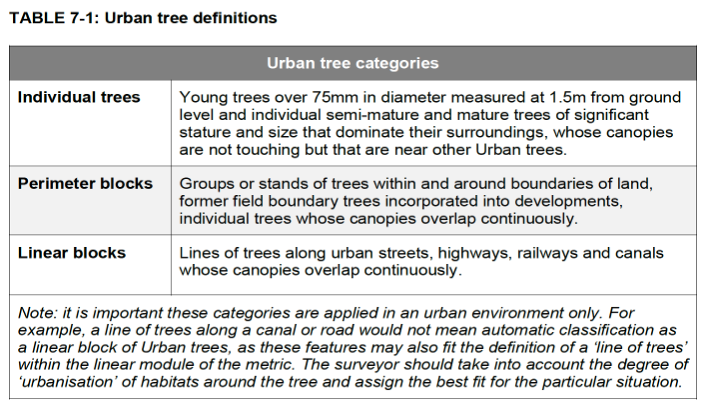 Our proposal for a new Bristol Tree Replacement Standard