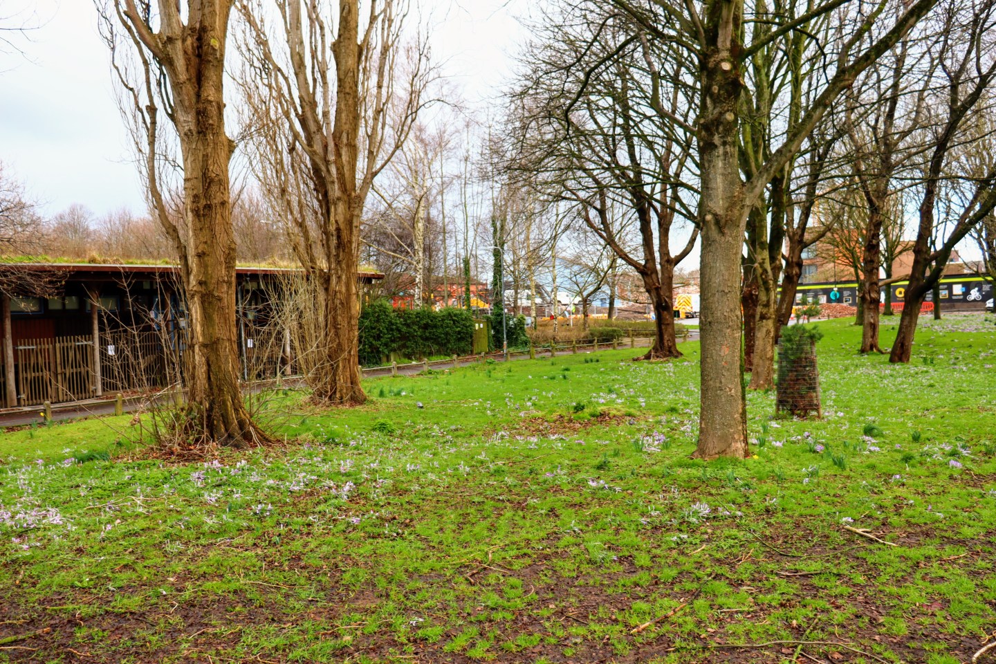 BTF blog – Bristol Tree Forum