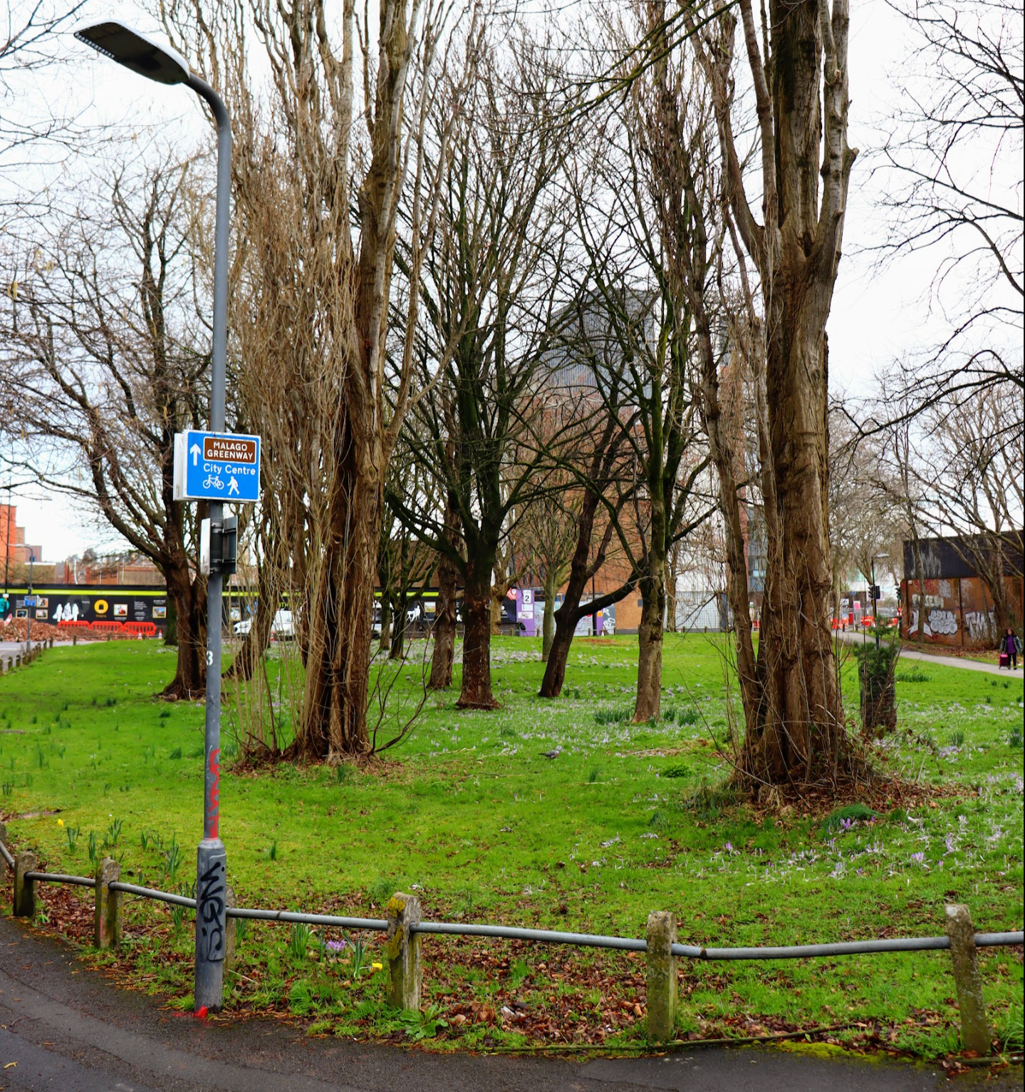 BTF blog – Bristol Tree Forum